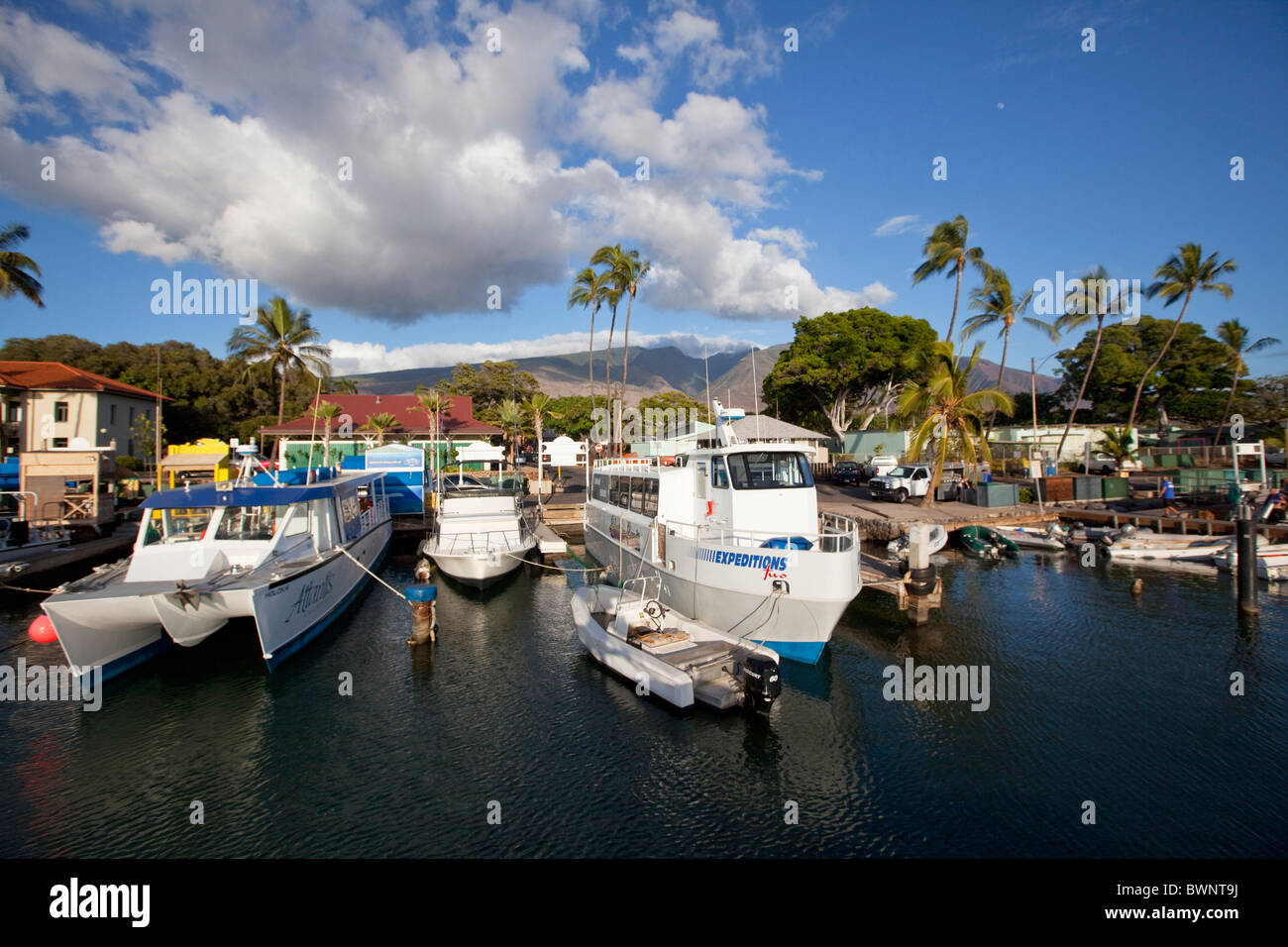 Lahaina Harbor, Maui, Hawaii Stock Photo - Alamy