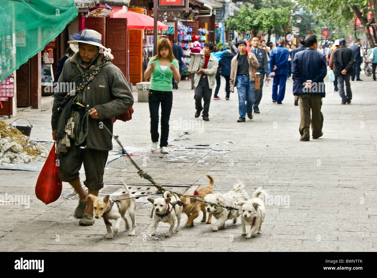 Man walking five dogs hi-res stock photography and images - Alamy