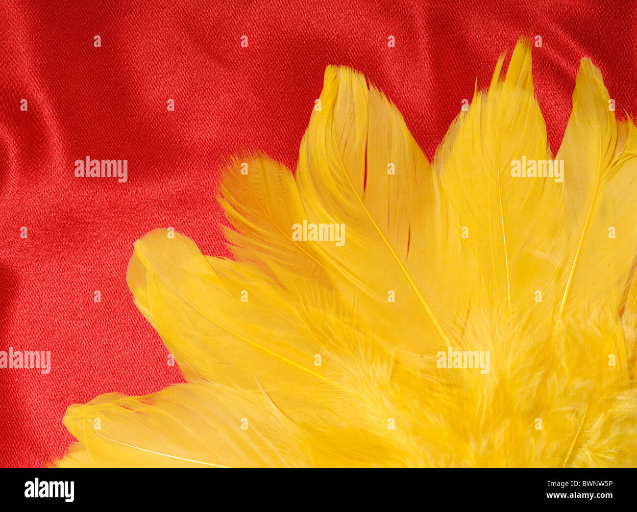 Yellow feathers on red fabric abstract background Stock Photo - Alamy