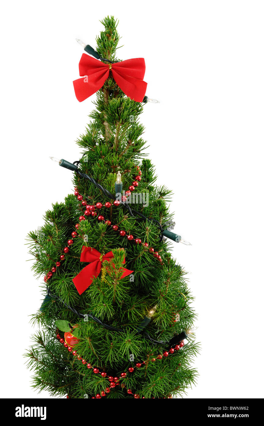 Small decorated Christmas tree Isolated on white background Stock Photo ...
