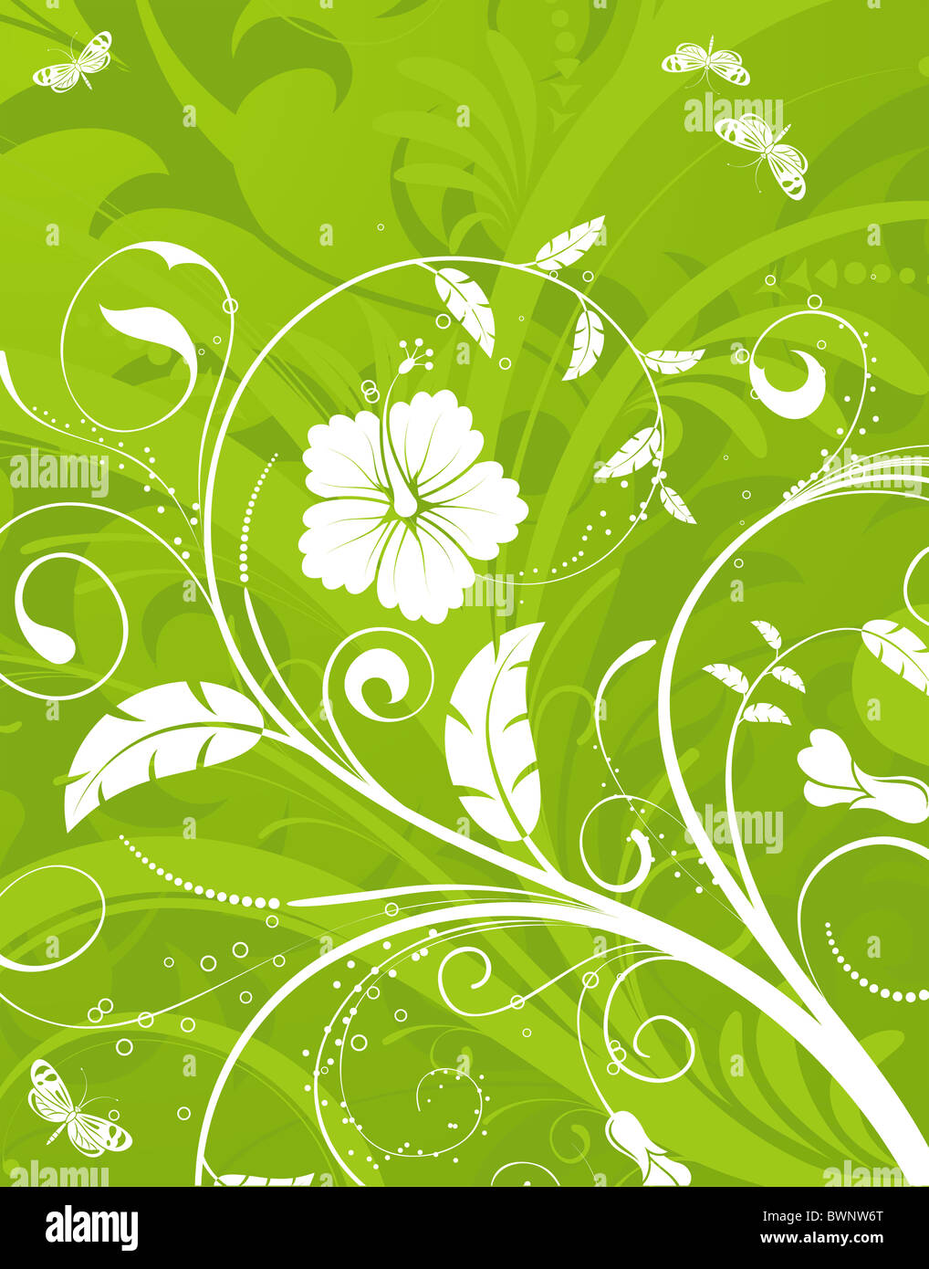 Floral Background with butterfly, element for design, vector ...
