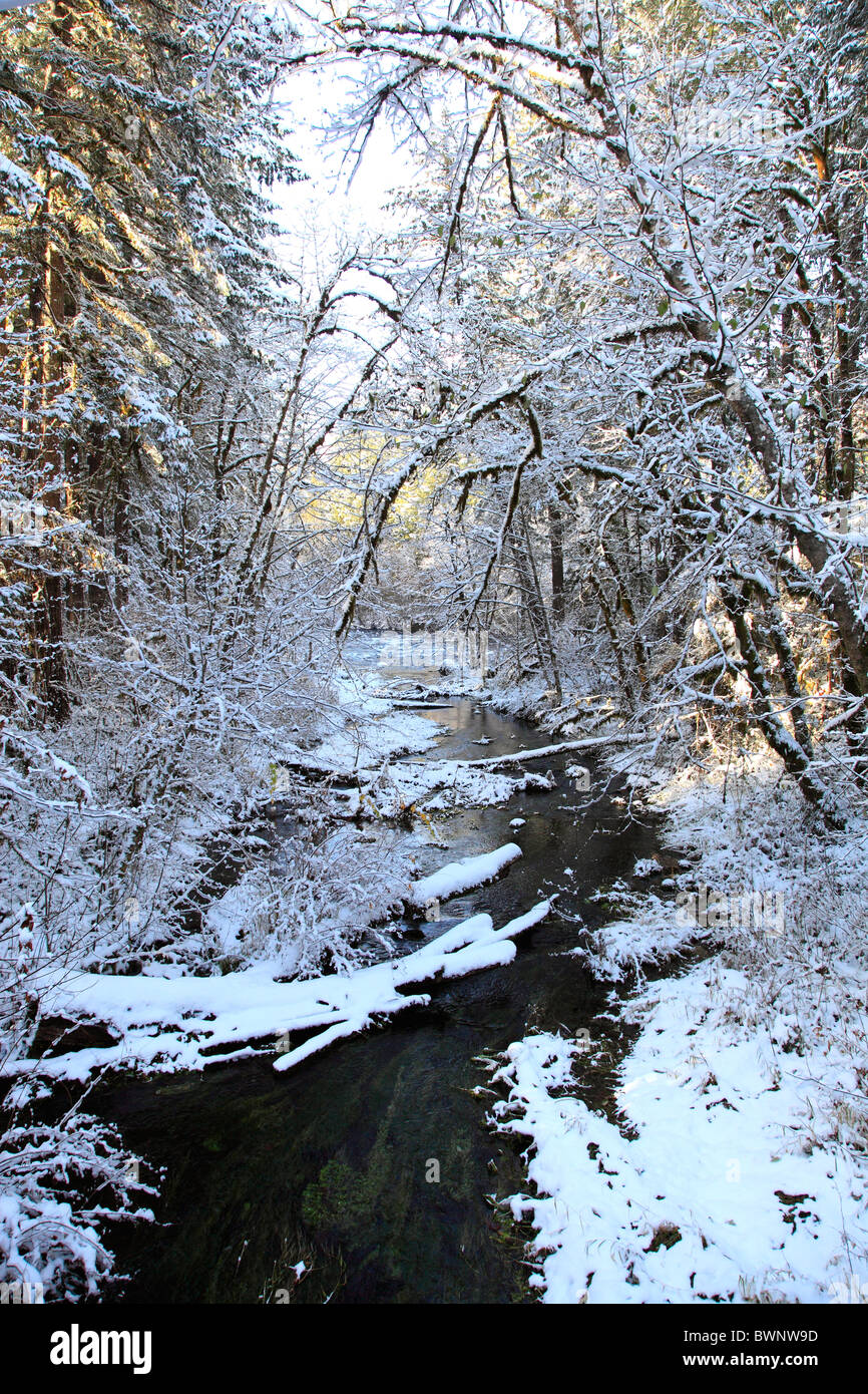 A stream in Winter Stock Photo - Alamy