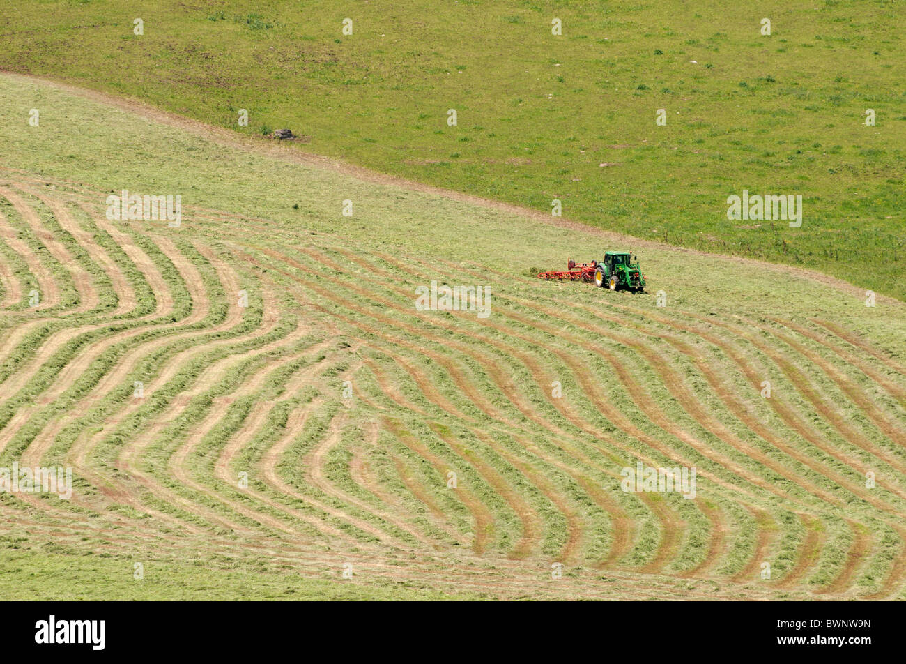 Haymaking : A tractor tedding a freshly cut meadow Stock Photo - Alamy