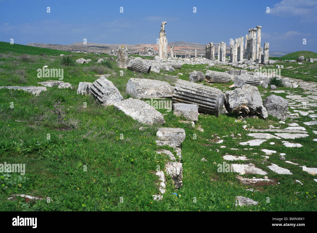 Roman city Apamea Syria green grass Middle East Ancient Old ...