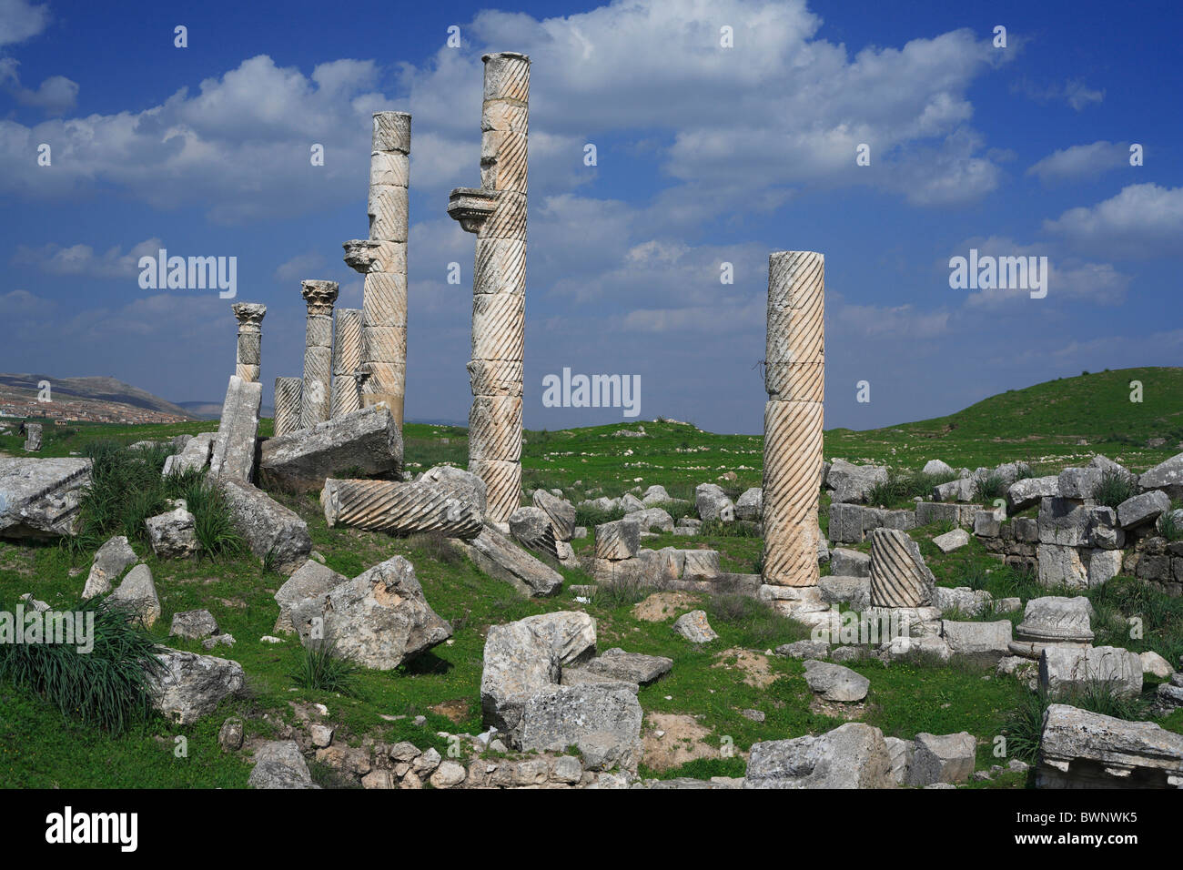 Roman city Apamea Syria green grass Middle East Ancient Old ...