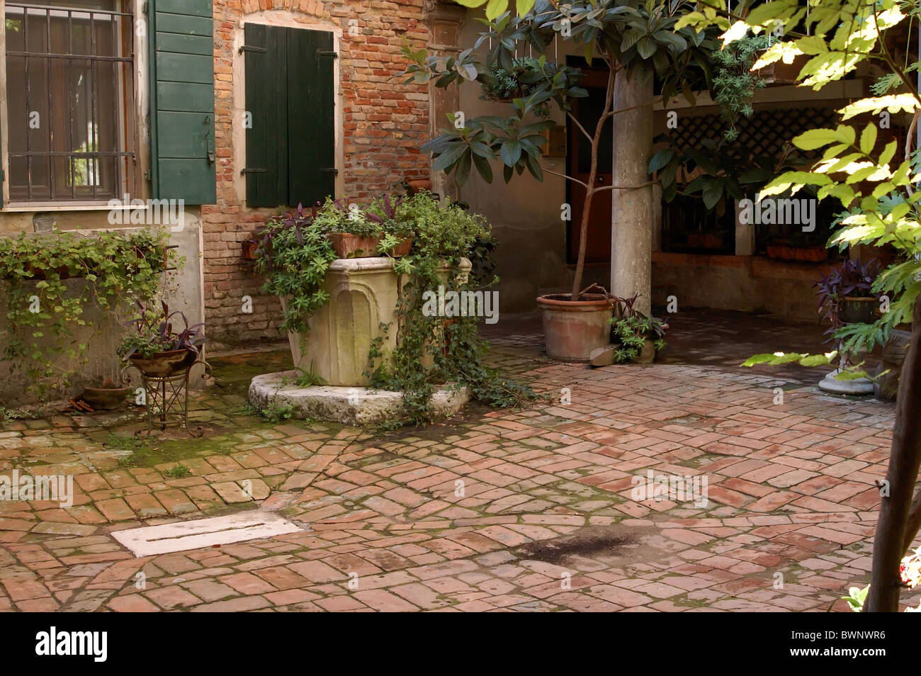A small courtyard between the streets of Venice, offers a splendid view ...