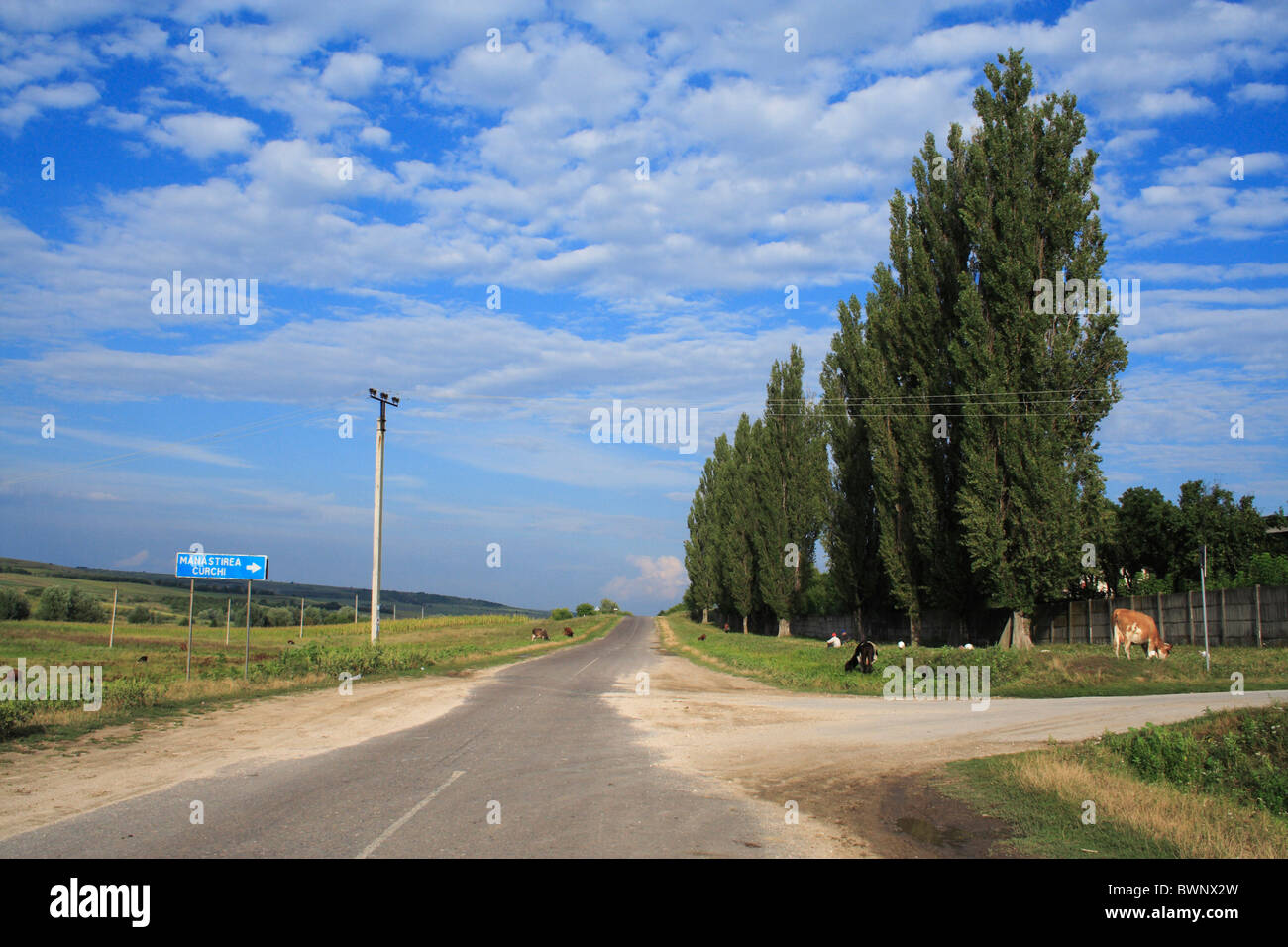 Moldova Moldavia Rural view near Curchi monastery Europe blue sky ...