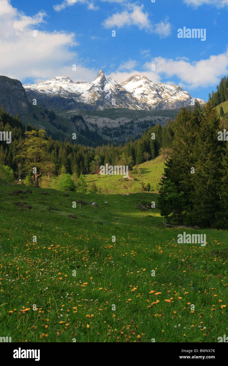 10831691 hi-res stock photography and images - Alamy