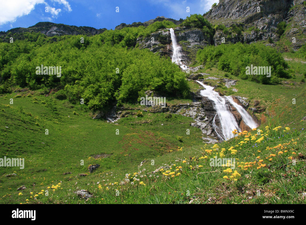 Switzerland Europe Waterfall brook stream Creek Flower Meadow Flowers ...