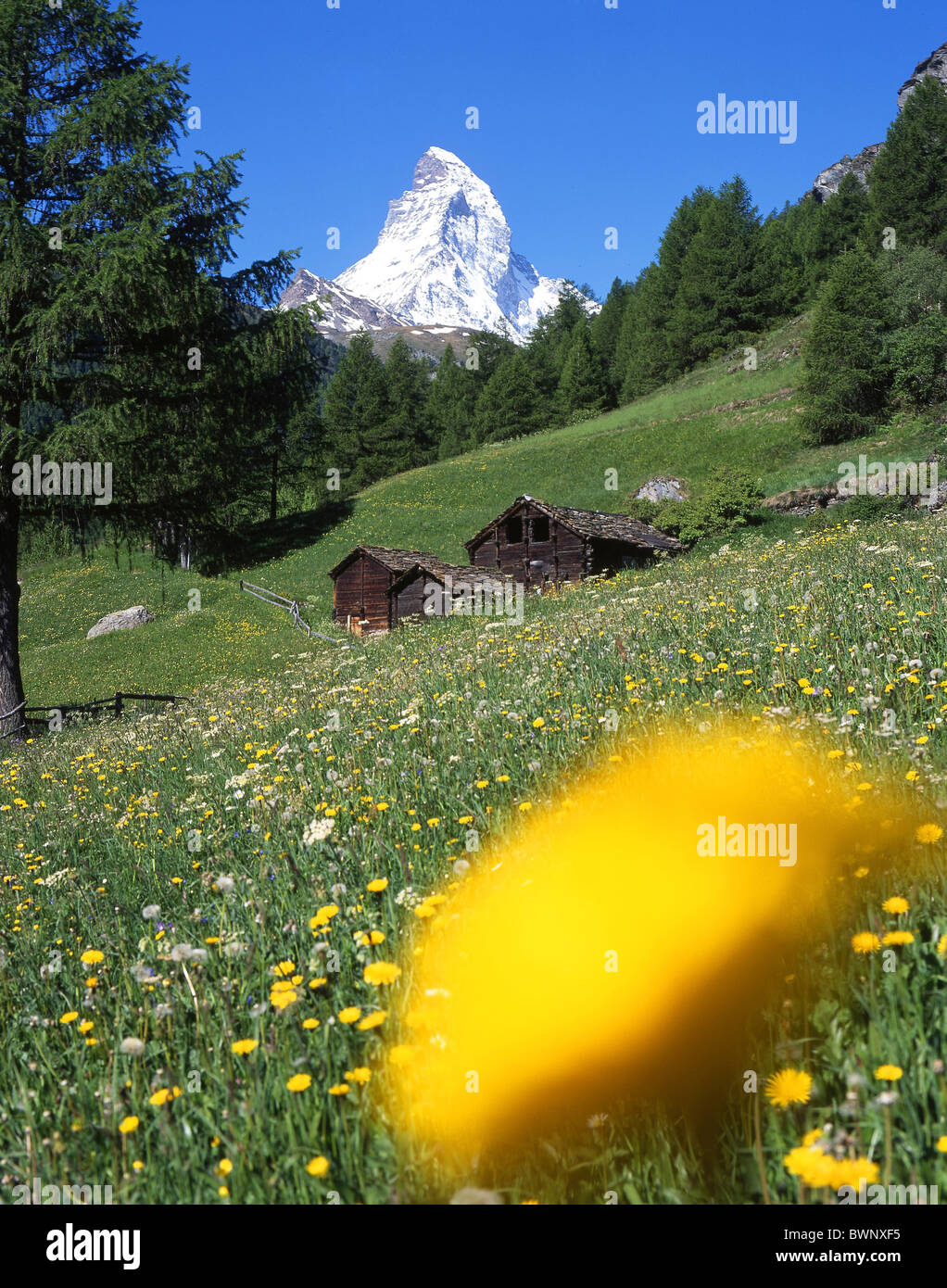 Switzerland Europe Canton Valais Zermatt Matterhorn Landscape Spring ...