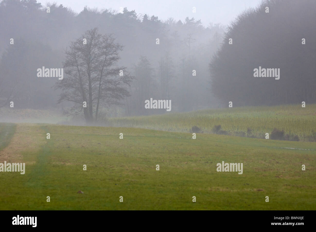 Fog over the fields Stock Photo - Alamy