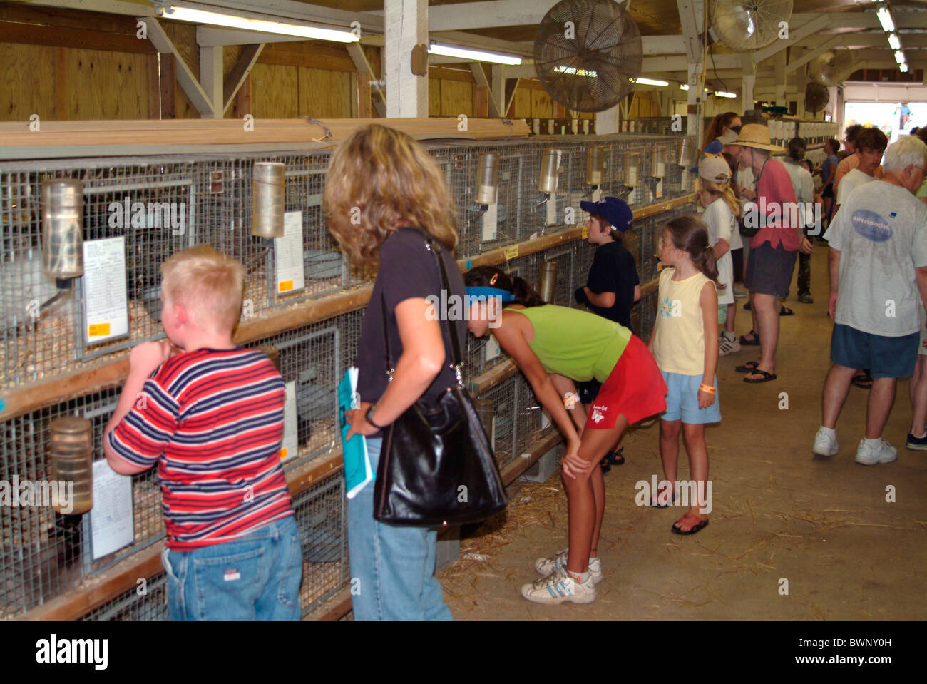 people looking at the various small animals in a cage at the Montgomery ...