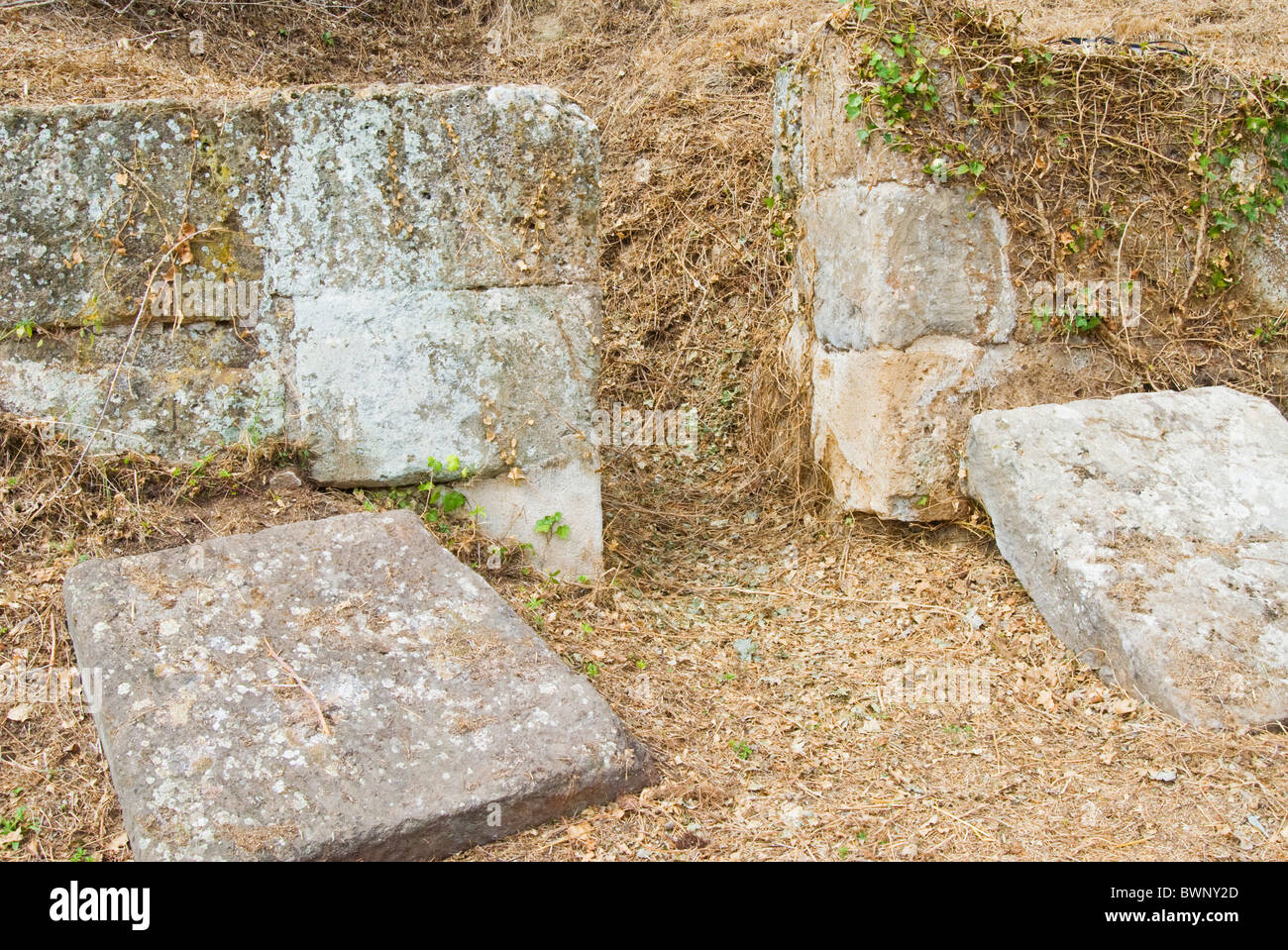 Etruscan necropolis of Madonna dell'Olivo, Etruscan tomb, Tuscania ...