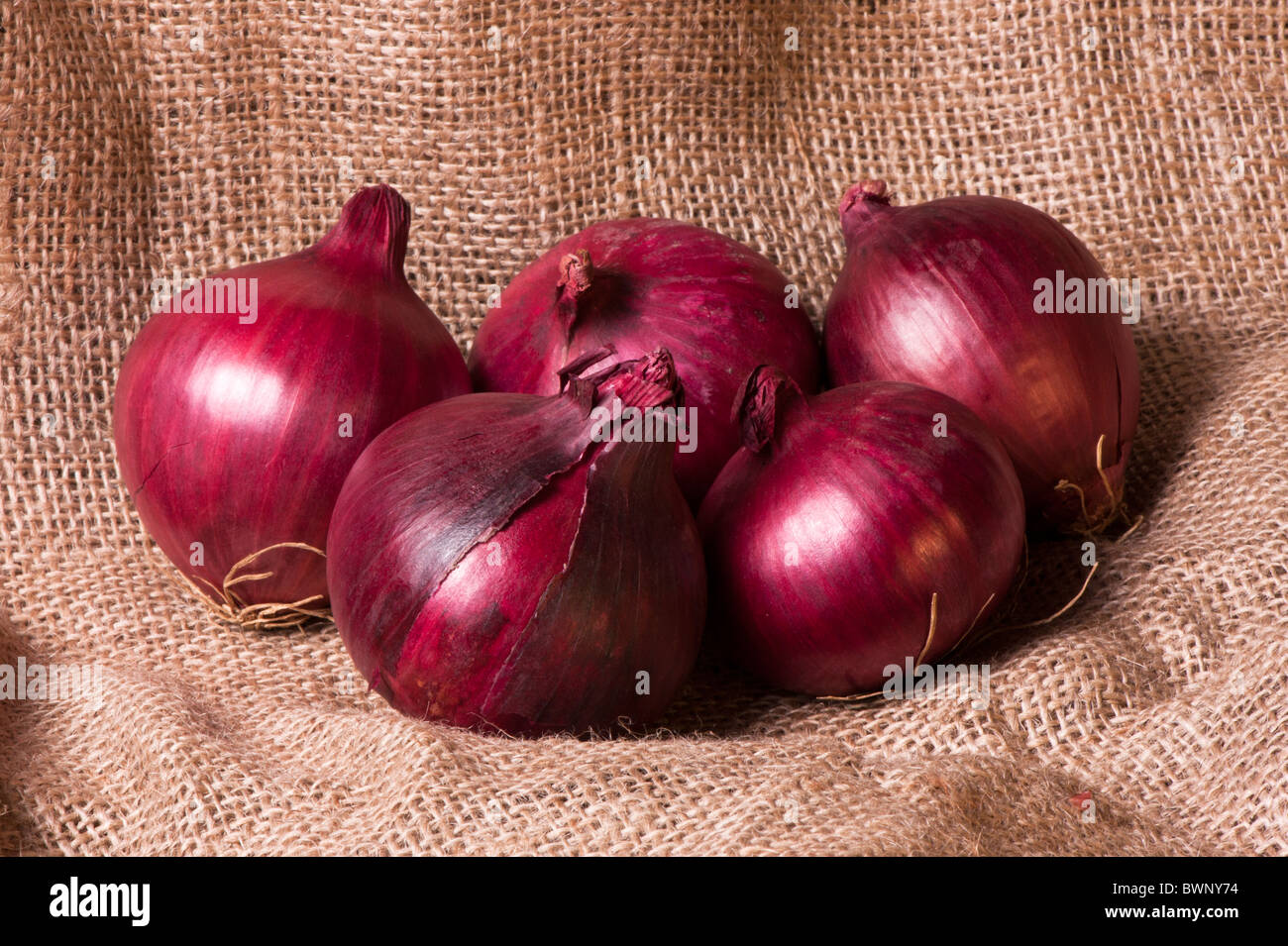 five red onions on a sack Stock Photo - Alamy