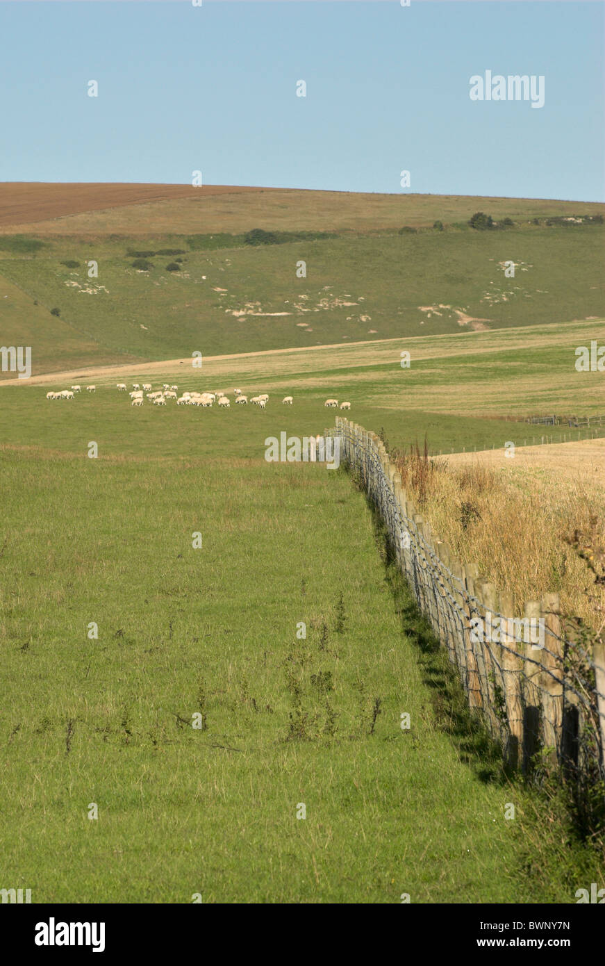 A view over to Steep Down from Cow Bottom in the South Downs National ...