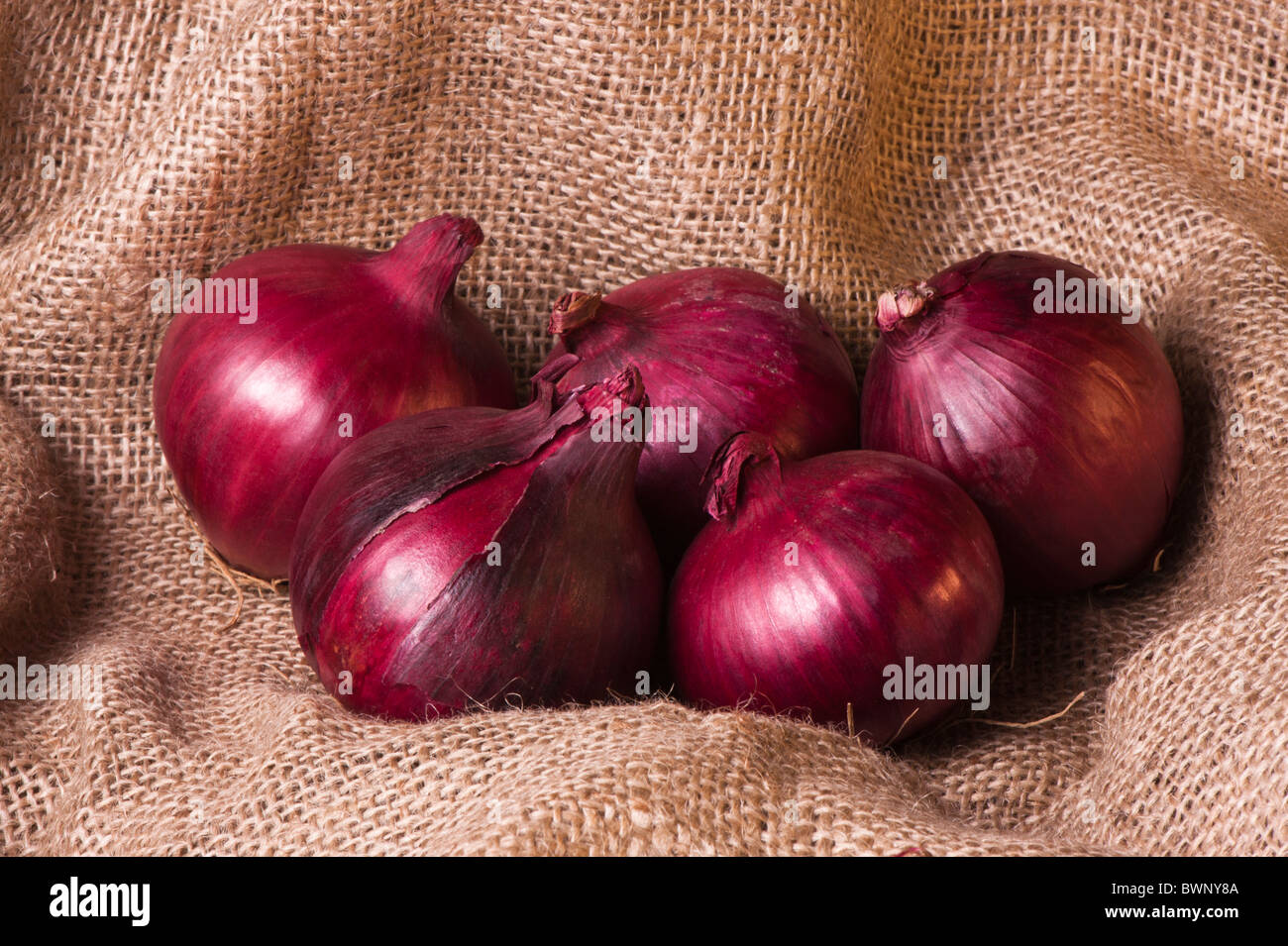 five red onions on a sack Stock Photo - Alamy