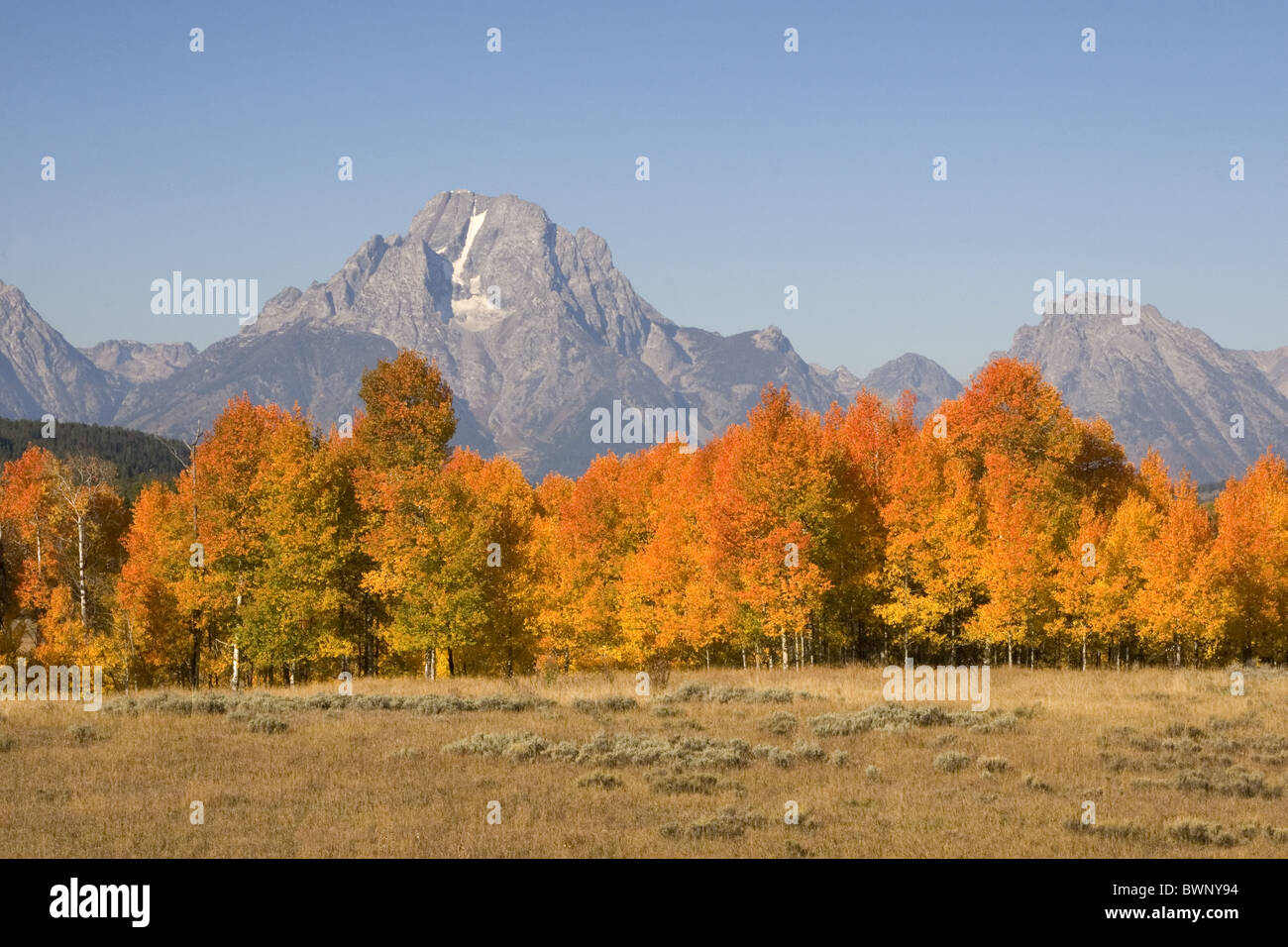 Fall colors in Grand Tetons Stock Photo - Alamy