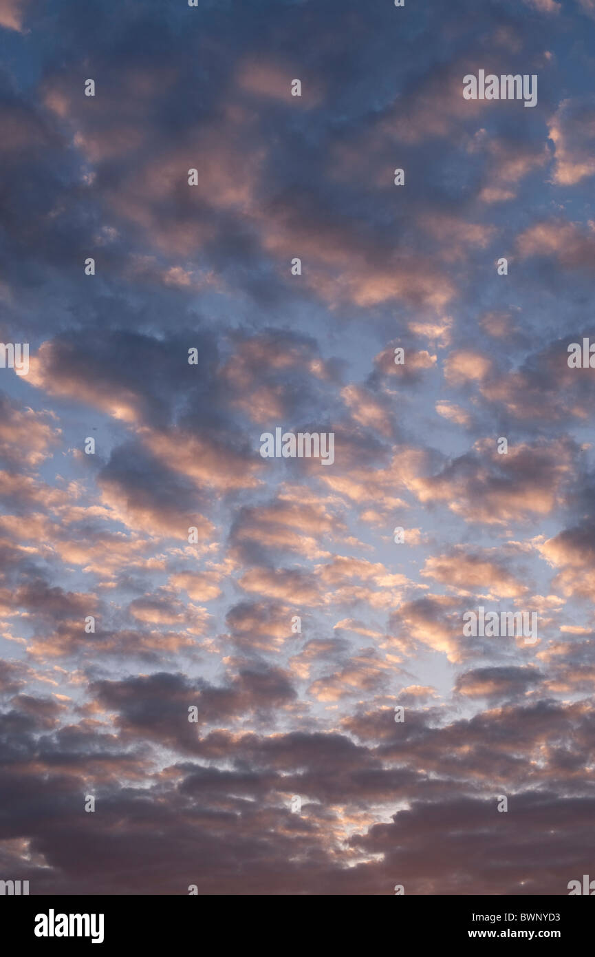 Altocumulus clouds at sunset Stock Photo - Alamy