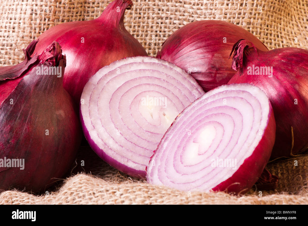 cut red onion with a natural background Stock Photo - Alamy