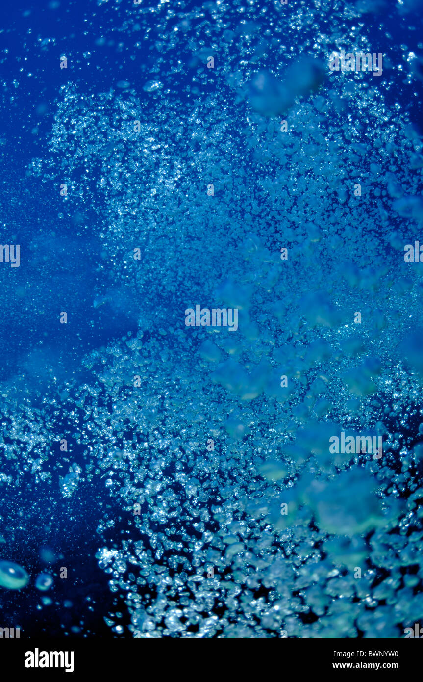 The picture shows underwater bubbles which raise from the depth of blue ...