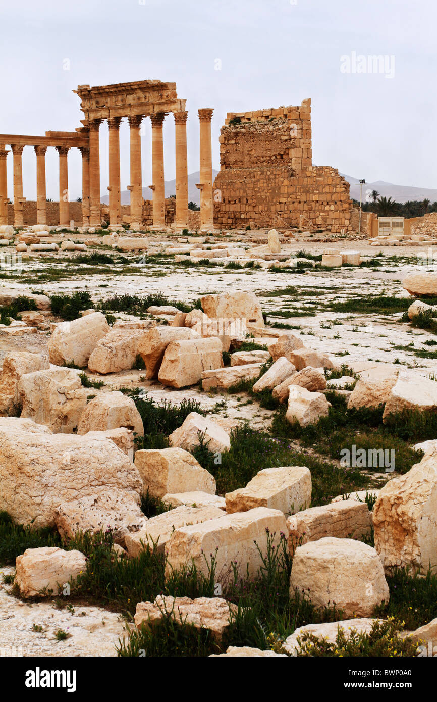 Remains of the ancient city of Palmyra in Syria Stock Photo - Alamy