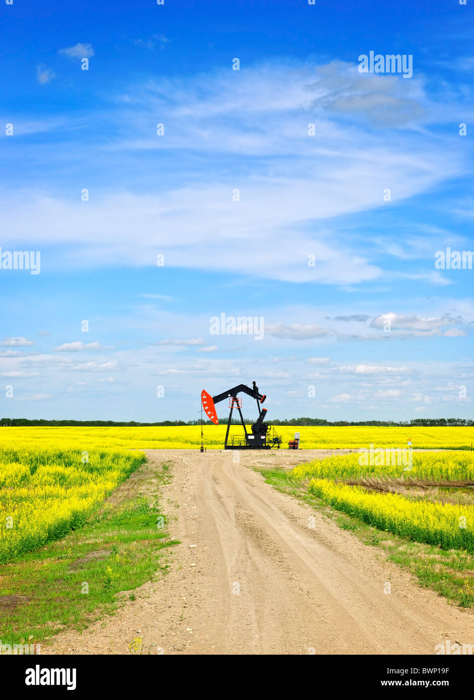 Oil pumpjack or nodding horse pumping unit in Saskatchewan prairies ...