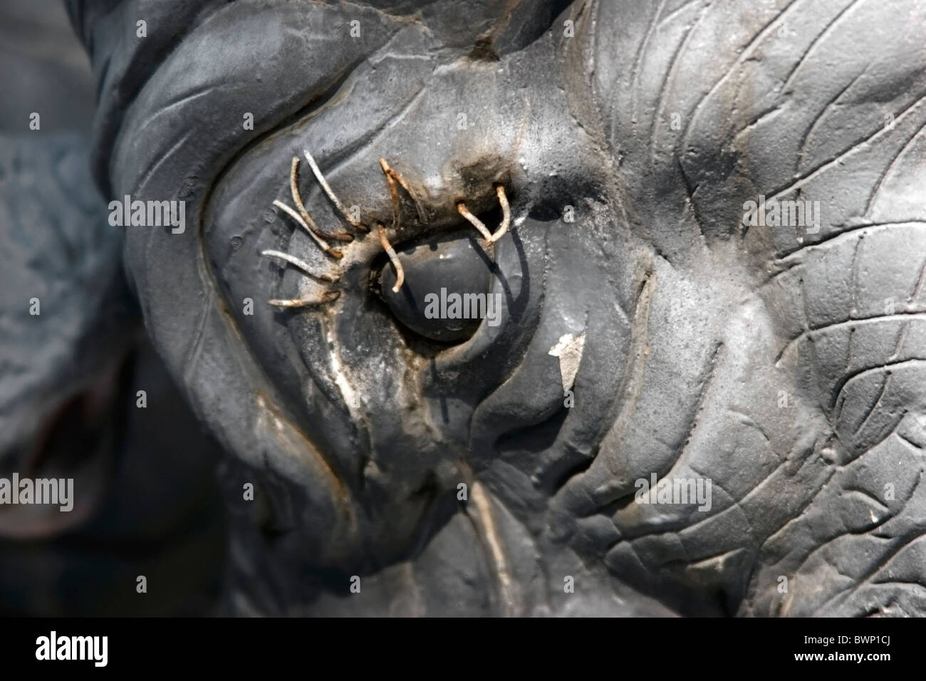 The eye of a large Buddhist elephant statue is on display at a temple ...