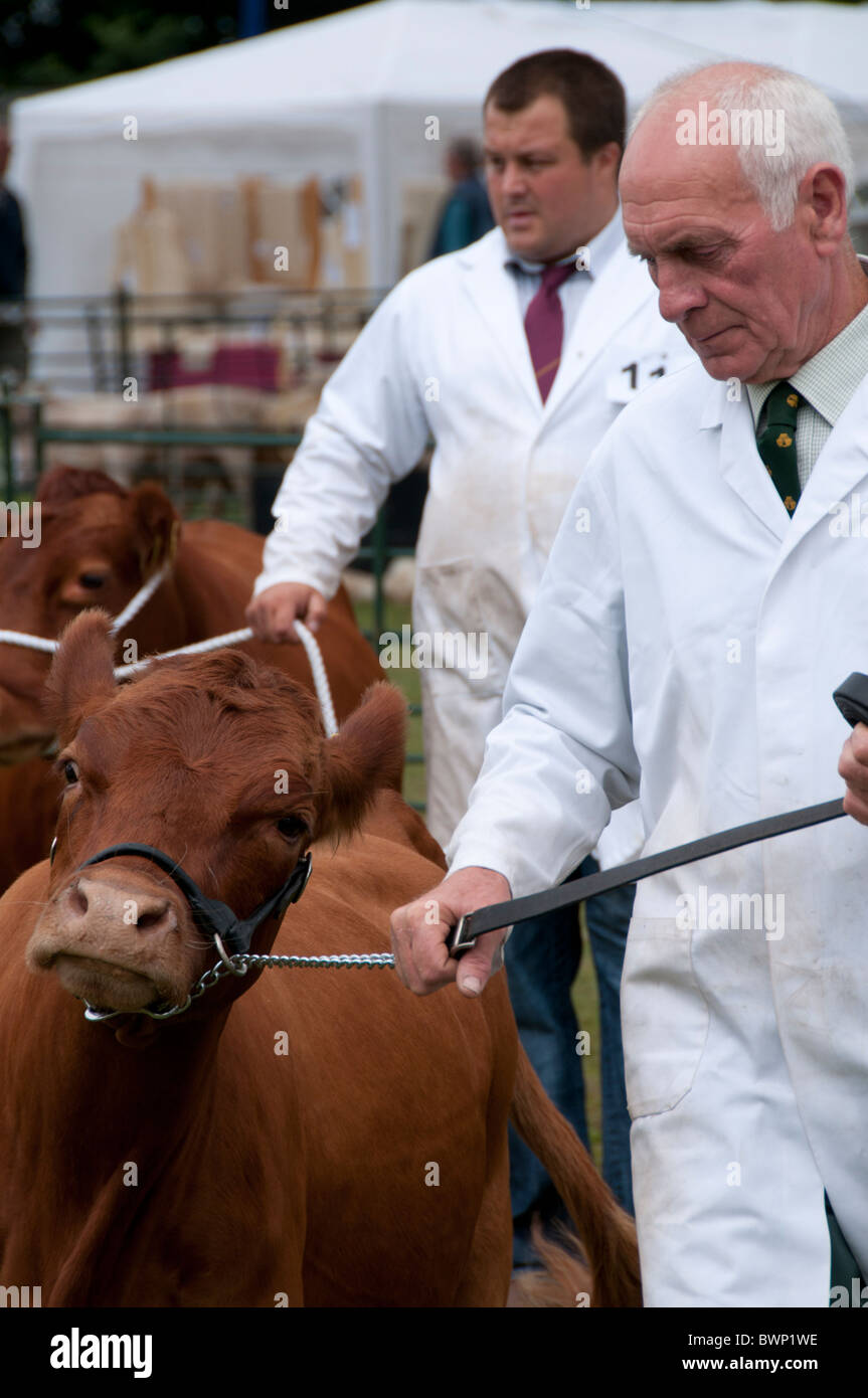 Uk country show hi-res stock photography and images - Alamy