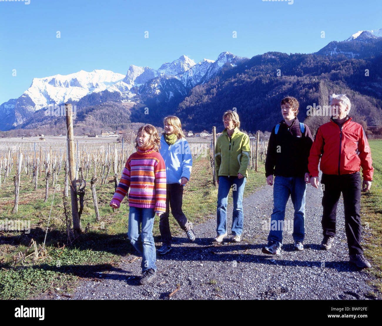 Switzerland Europe Canton Grisons Graubunden Grisons Bundner Herrschaft ...
