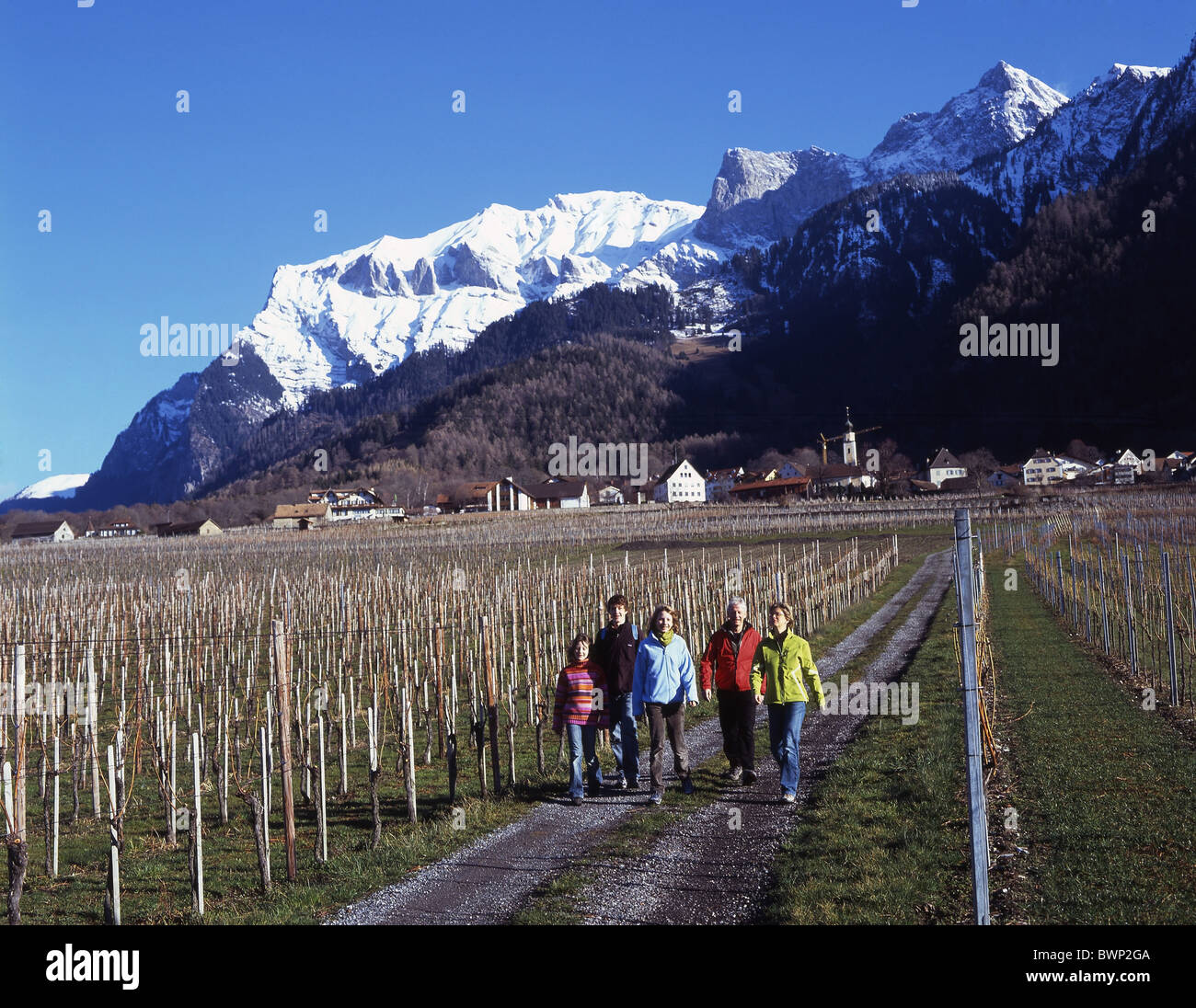 Switzerland Europe Canton Grisons Graubunden Grisons Bundner Herrschaft ...