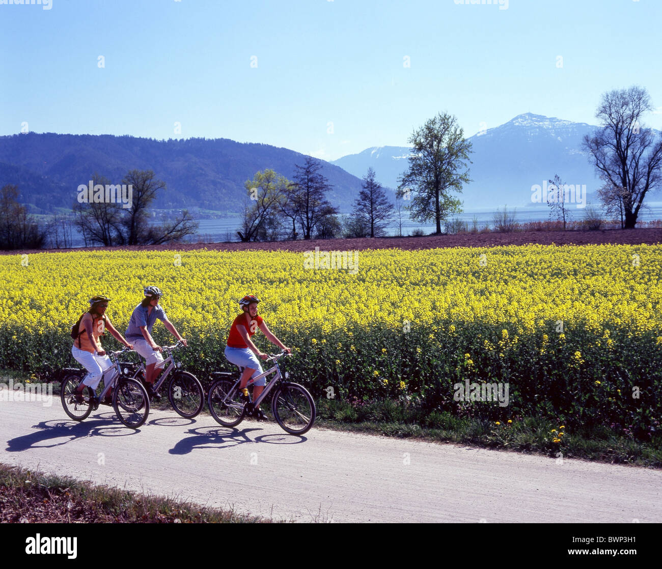 Switzerland Europe canton Zug near Cham Lake Zug Zugersee Bicycling ...