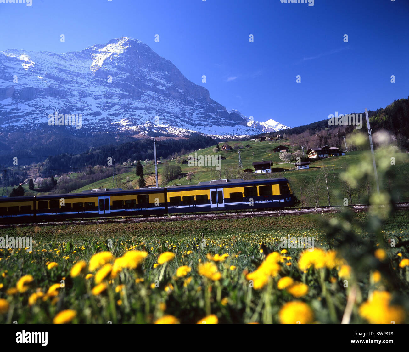Switzerland Europe Grindelwald Bernese Oberland Train Railway Valley ...