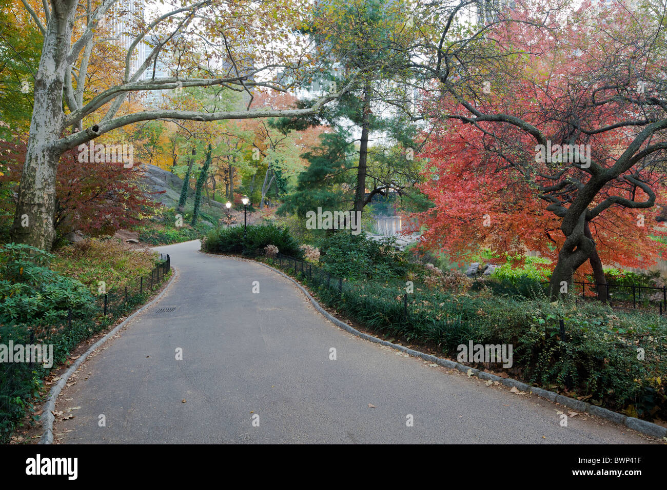 Autumn along the path in Central park with Central Park South in the ...