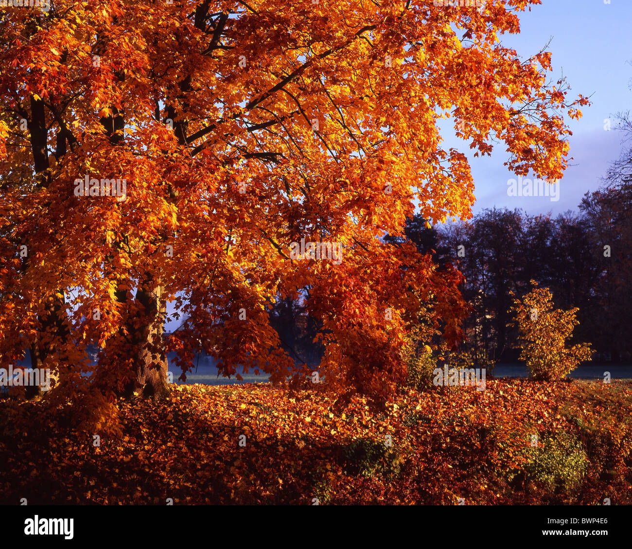 10831979 hi-res stock photography and images - Alamy