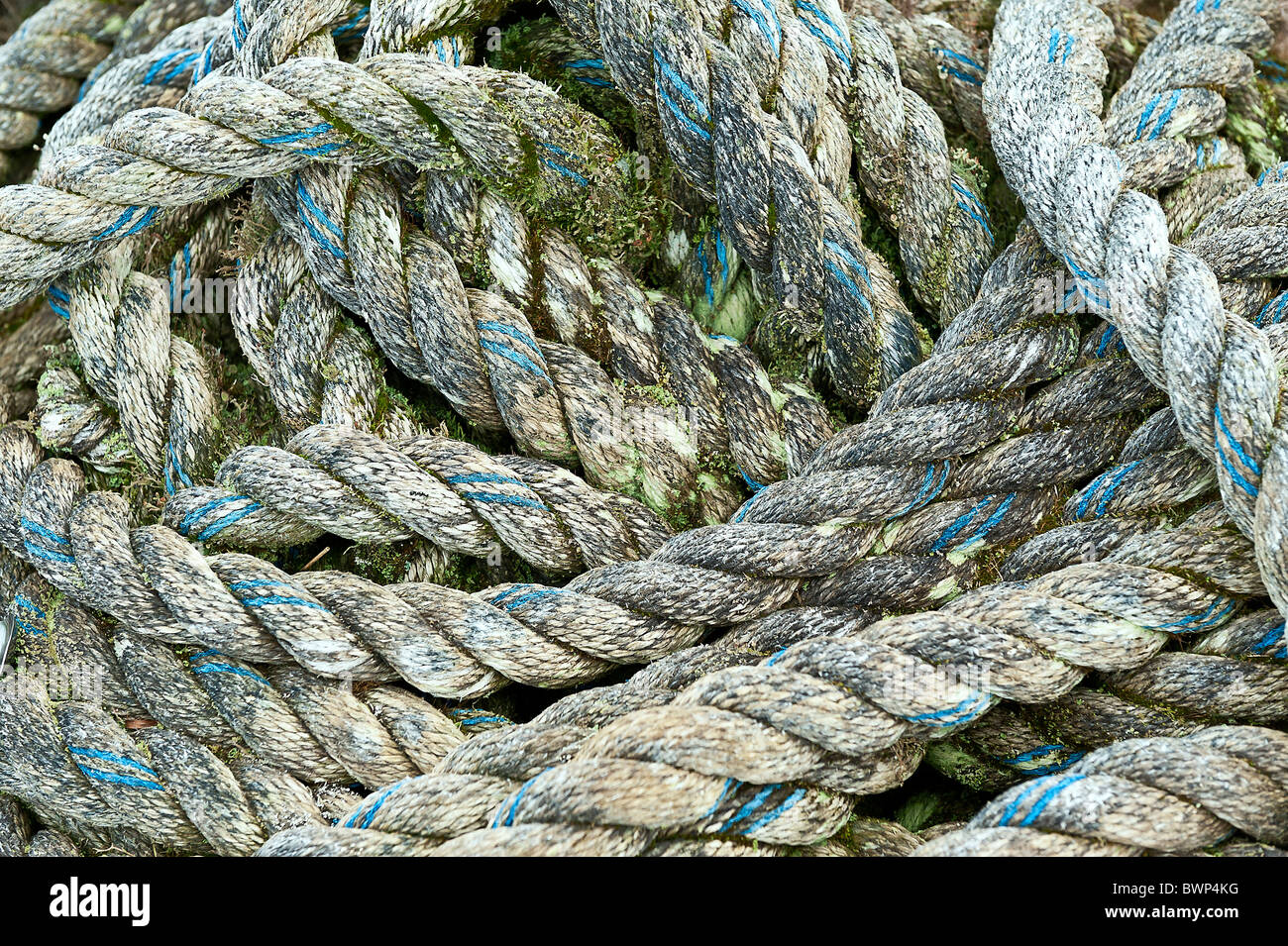Wharf and rope hi-res stock photography and images - Alamy