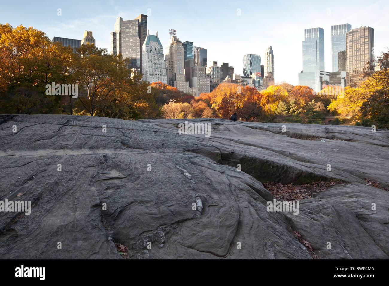 Park new york city central park hi-res stock photography and images - Alamy