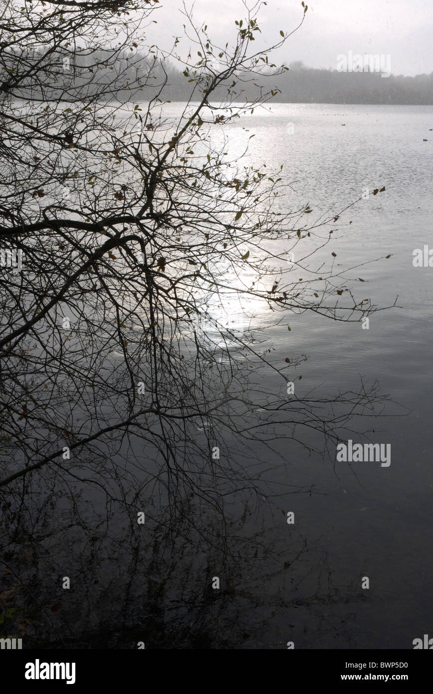 Mist covered lake Stock Photo - Alamy