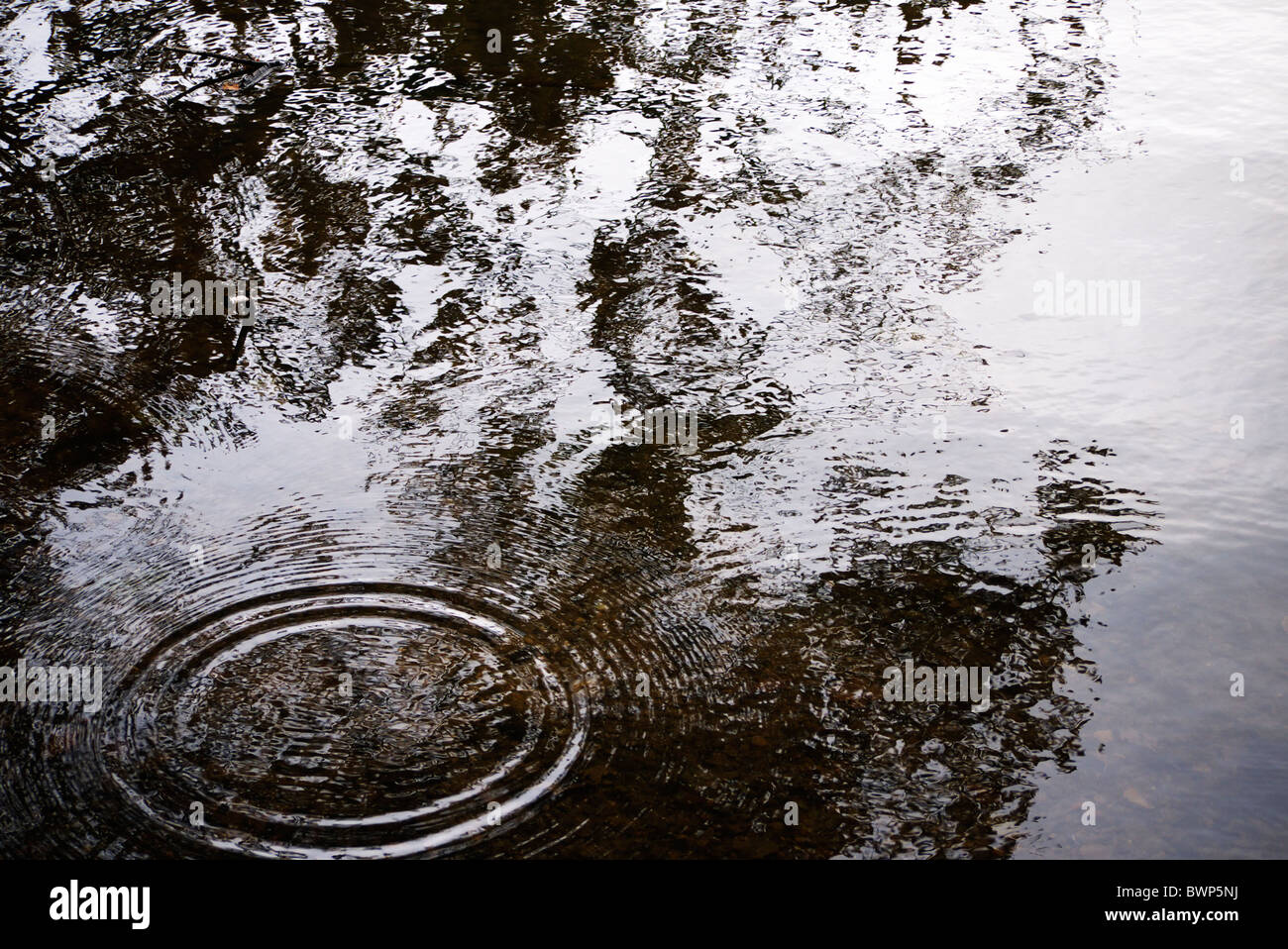 Drop of water into the lake Stock Photo - Alamy