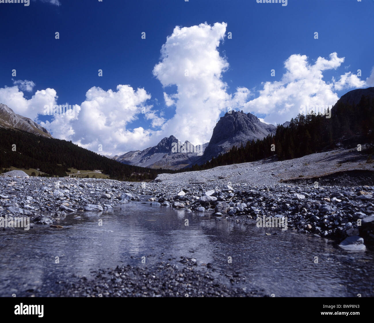 Switzerland Europe Val Mora Canton Grisons Graubunden Grisons Landscape ...