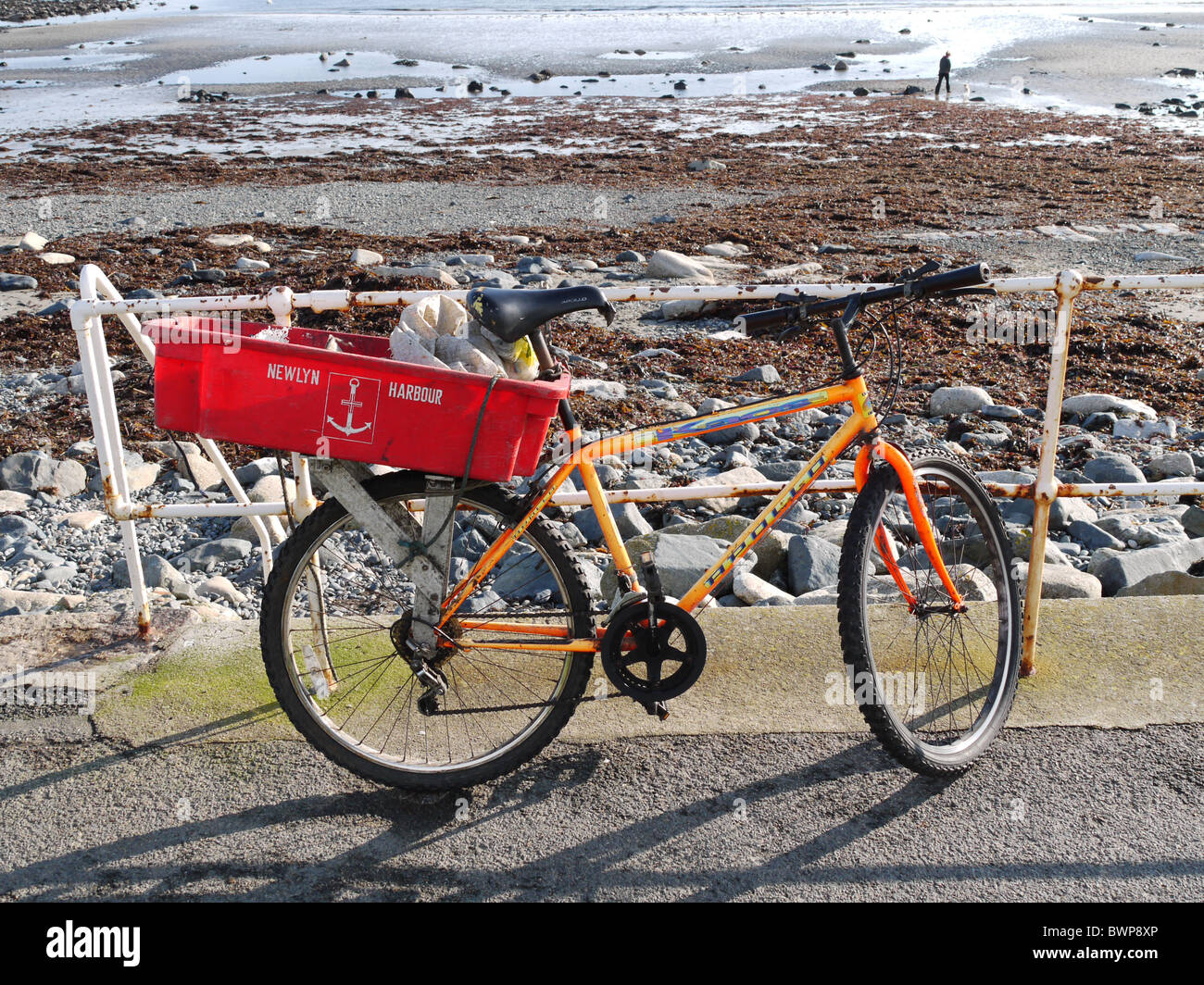 Customized cycle hi-res stock photography and images - Alamy