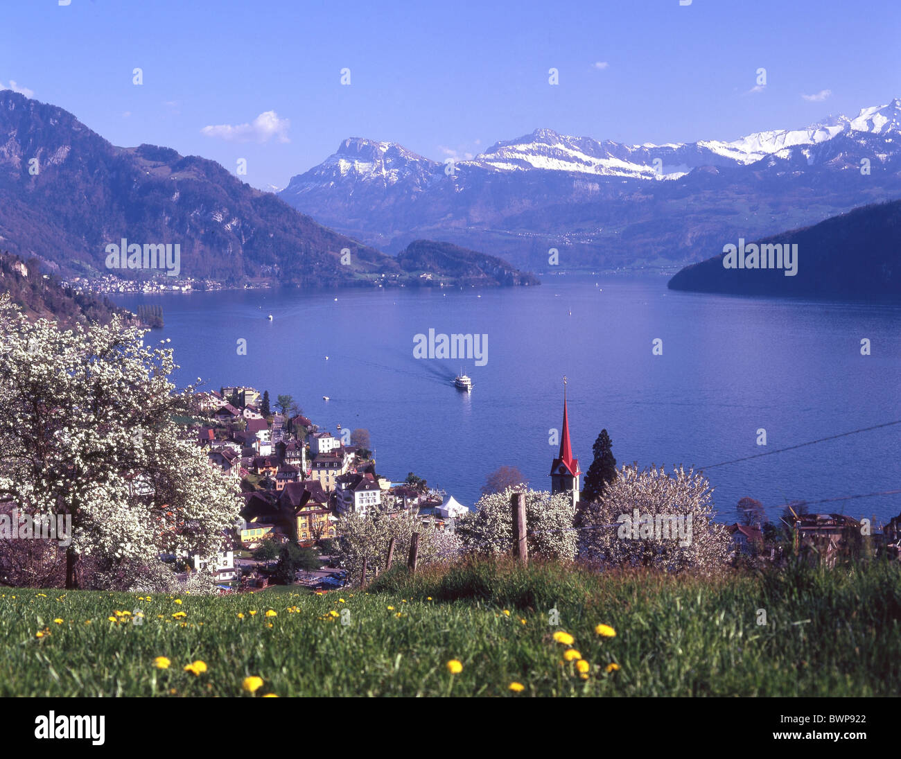 Switzerland Europe Weggis Lake Lucerne Lake Lucerne Village Spring ...
