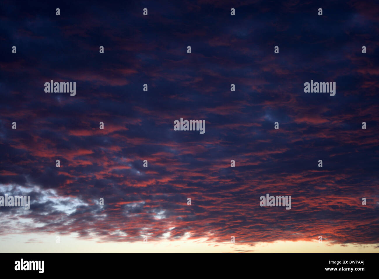 Clouds, illuminated by the setting sun Stock Photo - Alamy