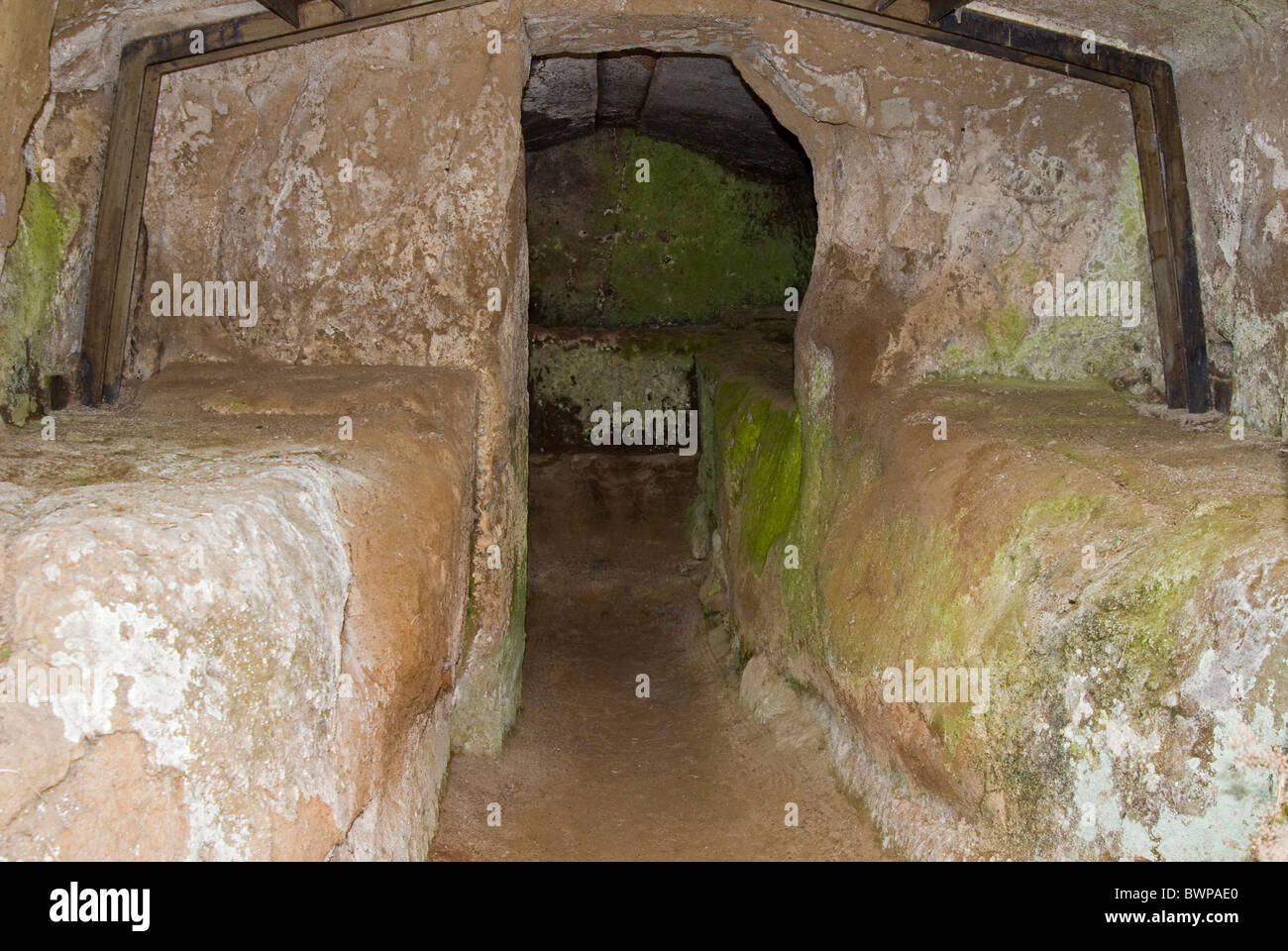 Etruscan necropolis of Madonna dell'Olivo, Etruscan tomb, Tuscania ...
