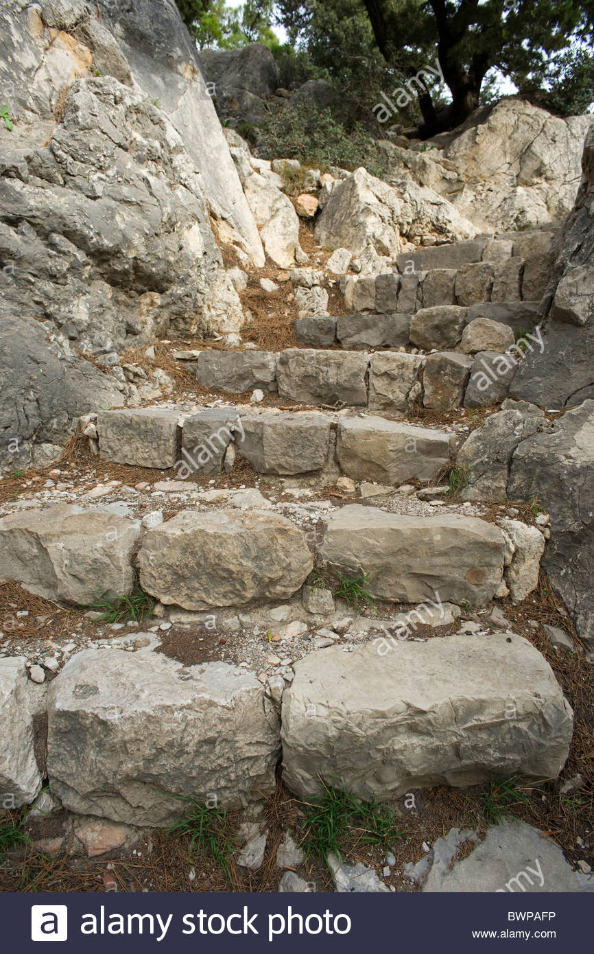 Step Steps Stone Path Pathway High Resolution Stock Photography and ...