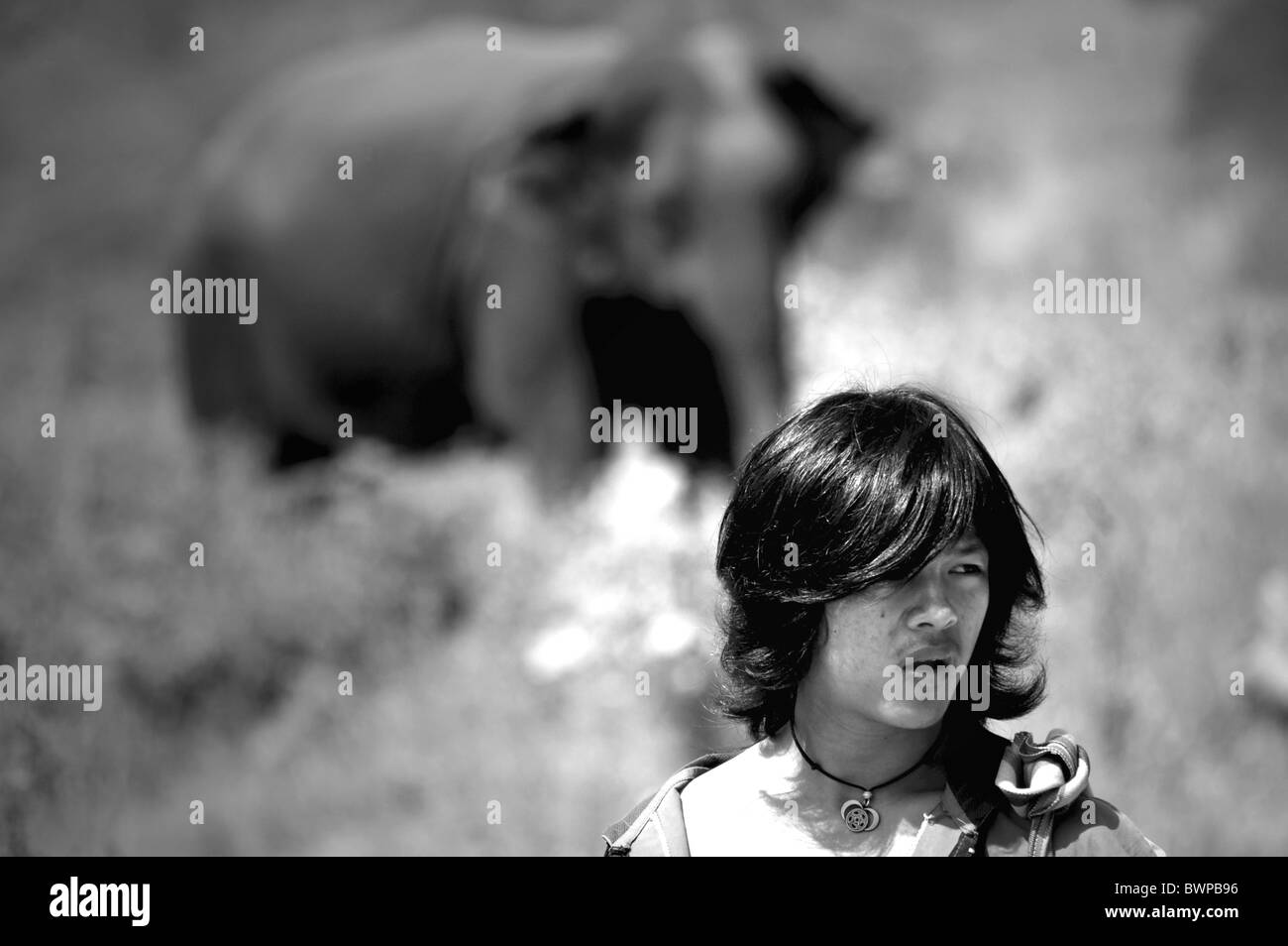 Young mahout taking care of his elephant Stock Photo - Alamy