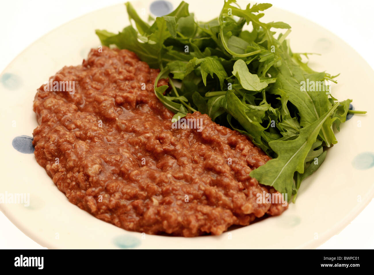 Minced Beef and Salad Leaves Stock Photo - Alamy