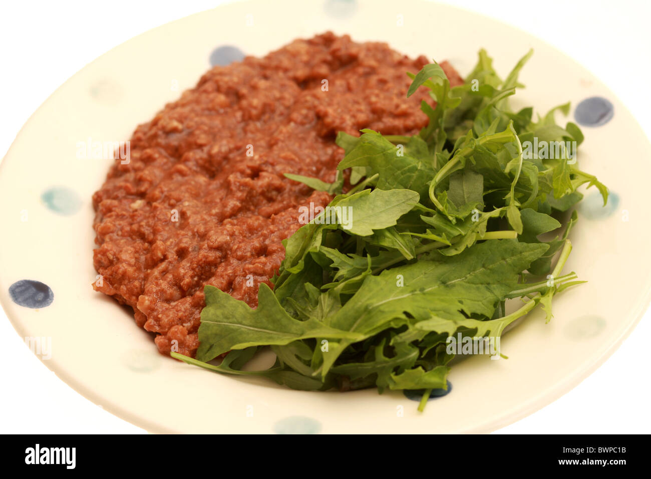 Minced Beef and Salad Leaves Stock Photo - Alamy