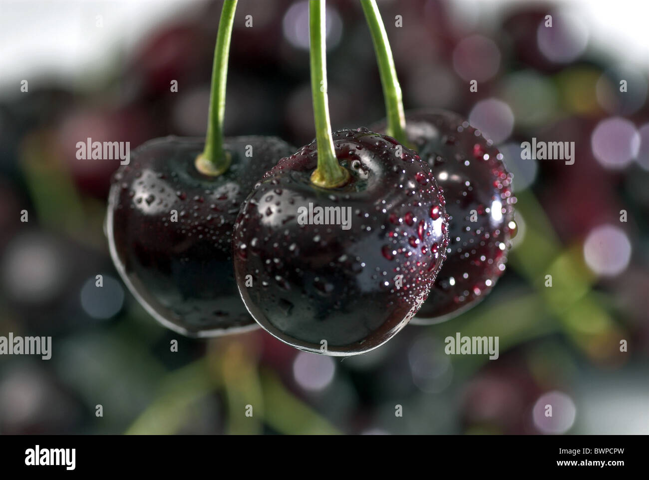 Cherries Cherry Fruits Fresh Fruit Food Comestibles Healthy Stock Photo ...