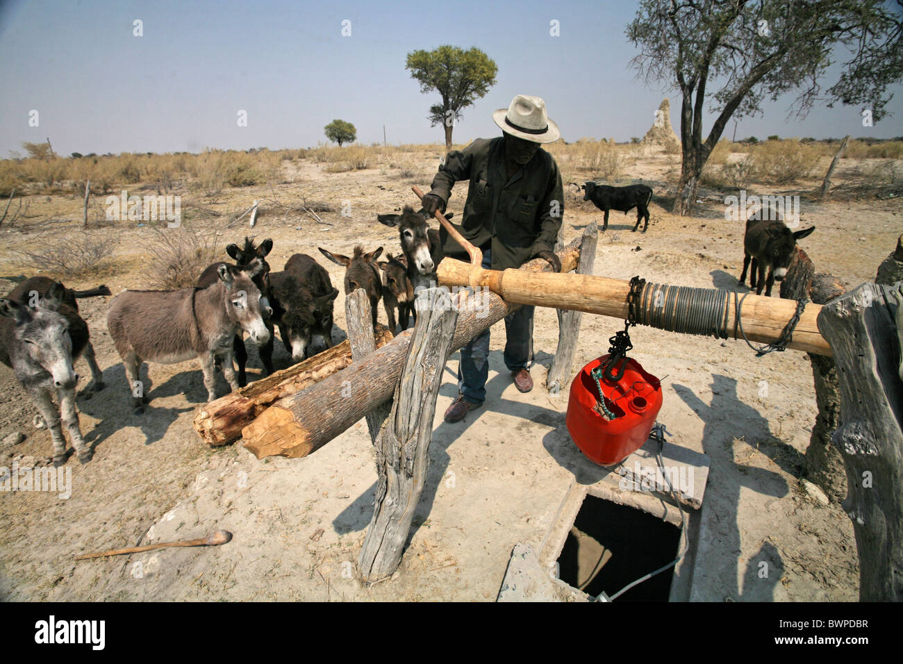 10840387 hi-res stock photography and images - Alamy