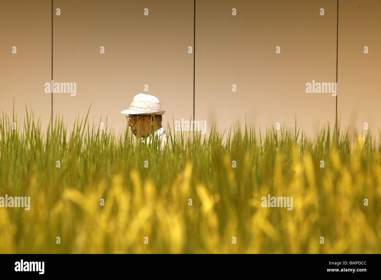 Tokyo (Japan) : Pasona Group Headquarters: The Urban Farm Pasona Stock ...